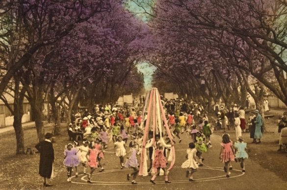 The Grafton Jacaranda Festival of Yesteryear - The Art of Creative Writing